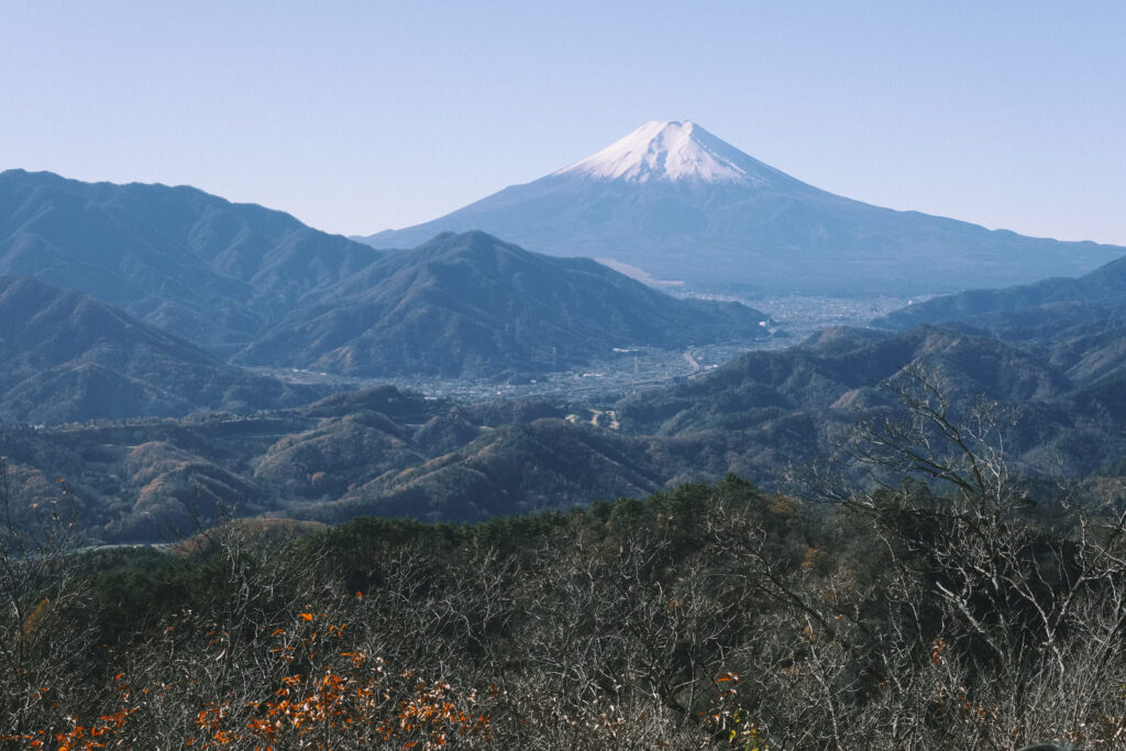 ヨーロッパ5月の絶景紀行：プロヴァンスの花畑、スイスの山並み、イタリアの美食街道を巡る夢のプラン - キレイミ